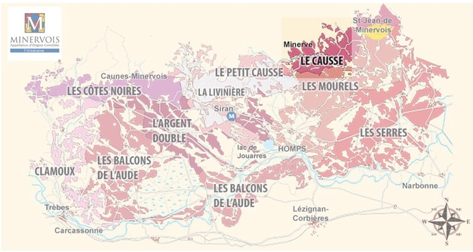 FOCUS : LE MINERVOIS | Blind Taste 34